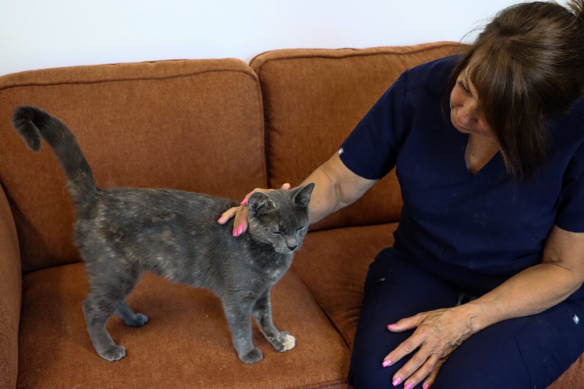 The Courier’s Pet of the Week: Mindy – CHCO TV26